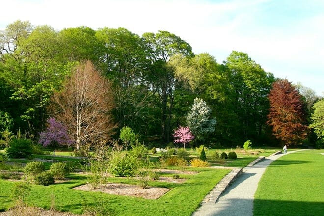 arnold arboretum