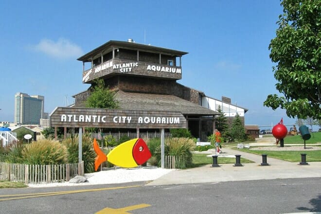 atlantic city aquarium