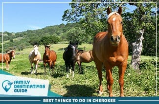 best things to do in cherokee