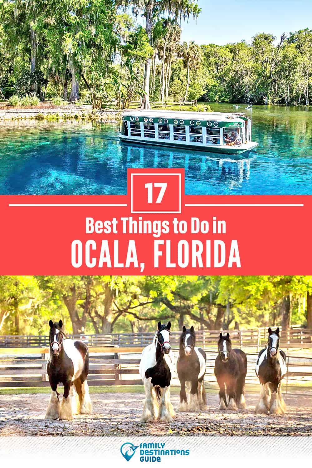 17 Best Things to Do in Ocala, FL — Top Activities & Places to Go!