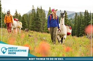 best things to do in vail