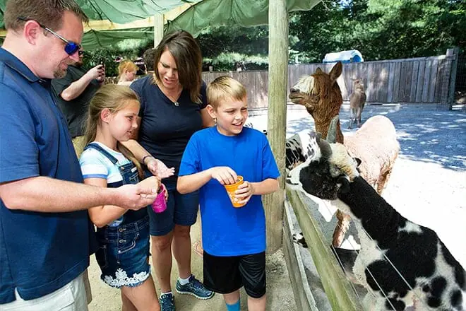 catoctin wildlife preserve