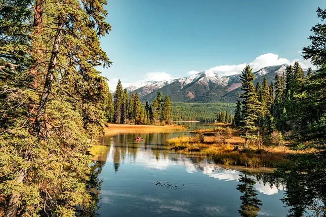 flathead national forest