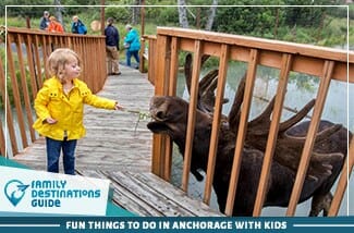 fun things to do in anchorage with kids