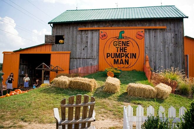 gene the pumpkin man