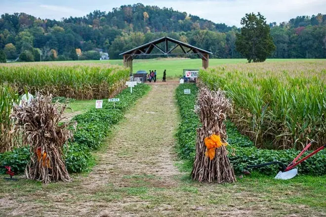 kyker farms
