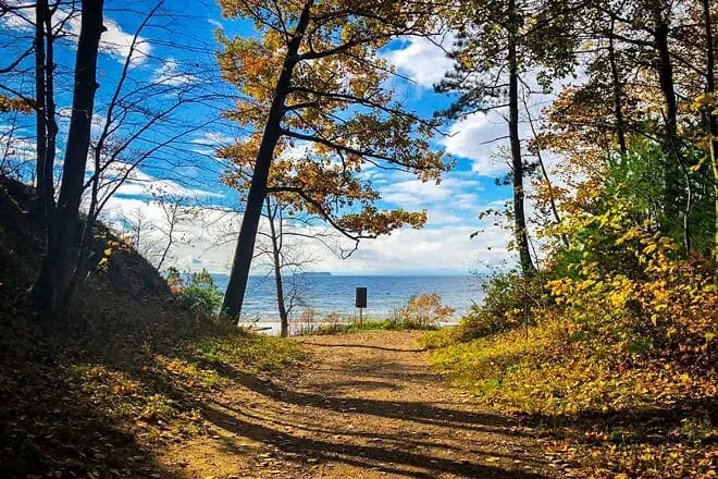 leddy park