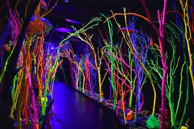 meow wolf santa fe