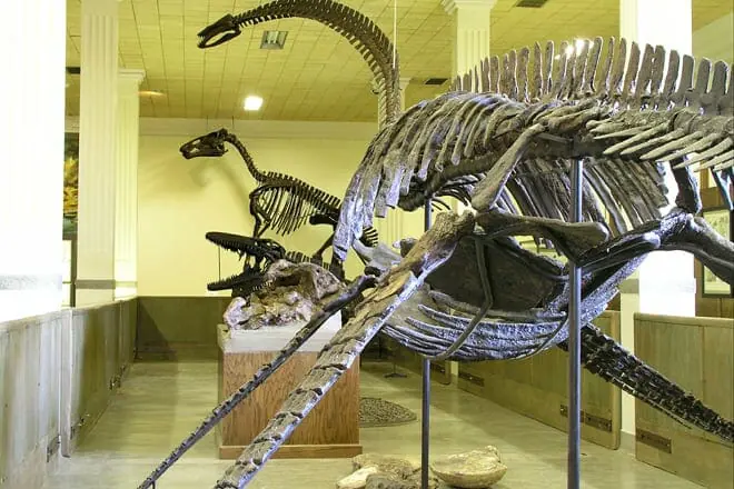 museum of geology
