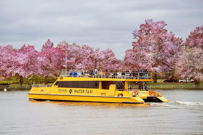 potomac riverboat company