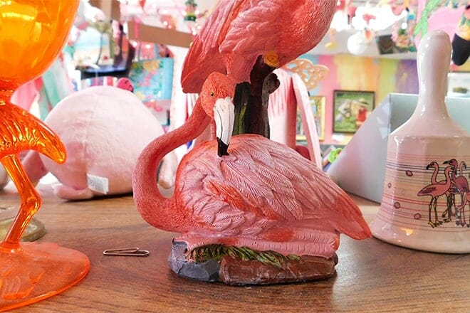 the official florida flamingo museum