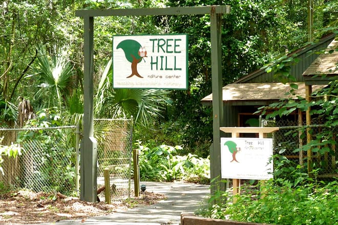 tree hill nature center