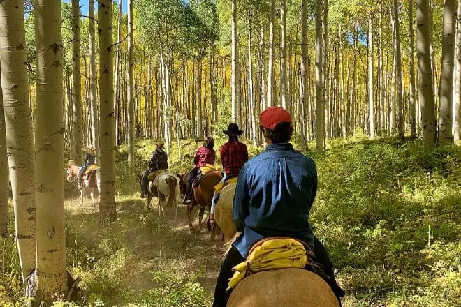 vail stables
