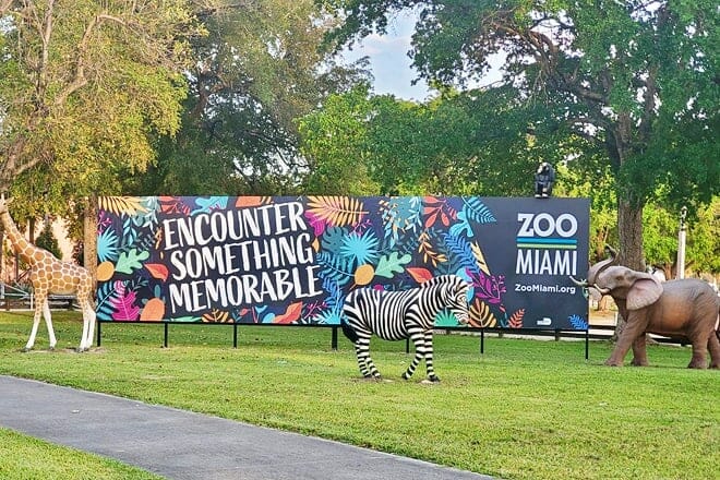 zoo miami