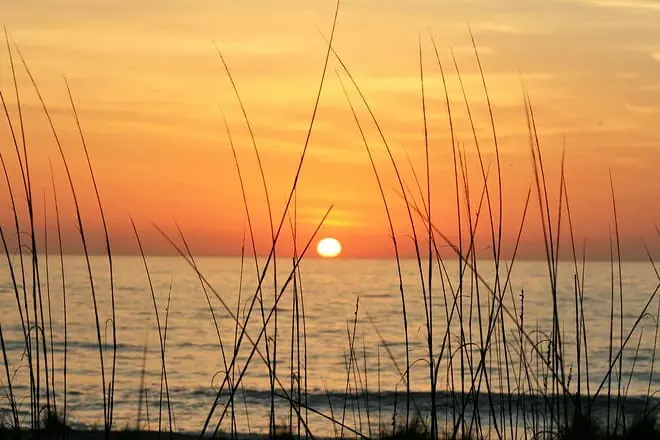 amelia island
