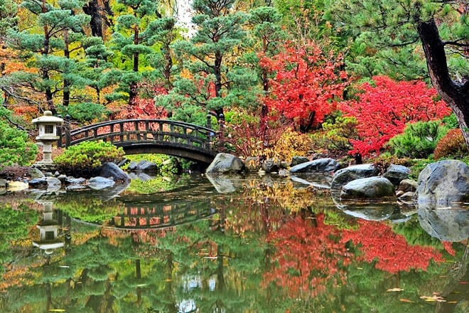 anderson japanese gardens — rockford