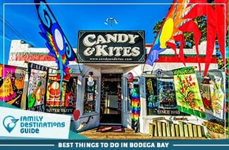 best things to do in bodega bay