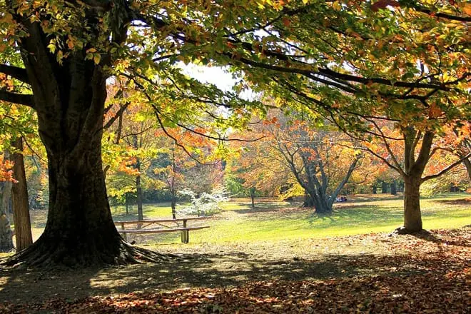 cherokee park