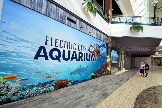 electric city aquarium & reptile den