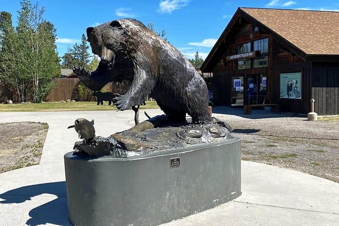 grizzly and wolf discovery center