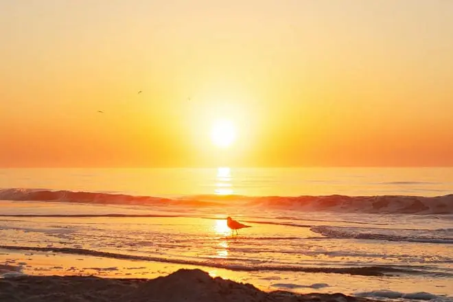hilton head island