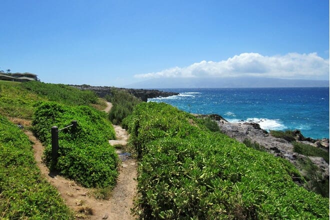 kapalua coastal trail
