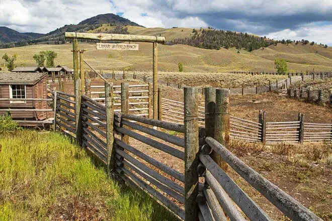 lamar buffalo ranch