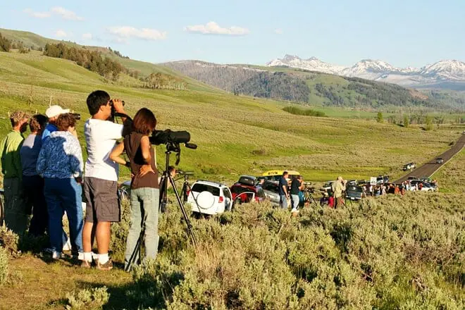 lamar valley