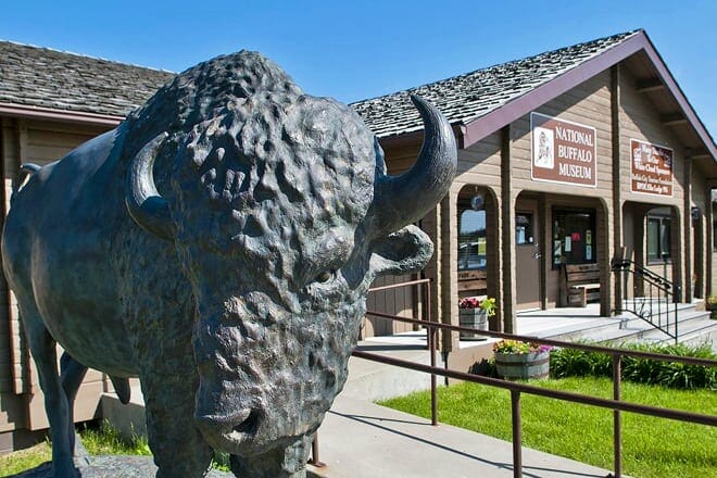 national buffalo museum — jamestown