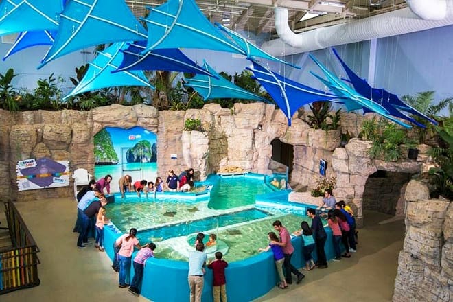 newport aquarium — newport