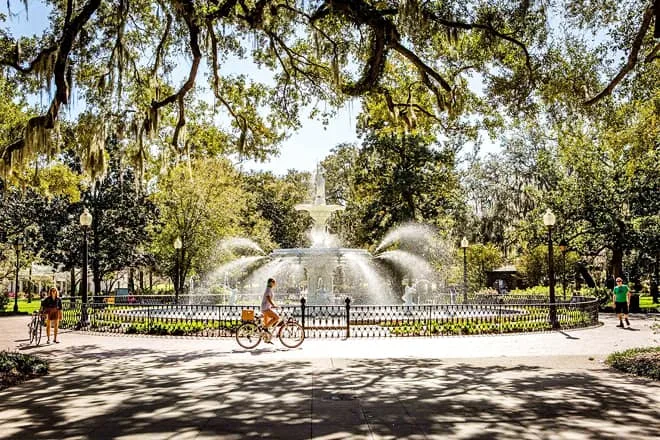 savannah
