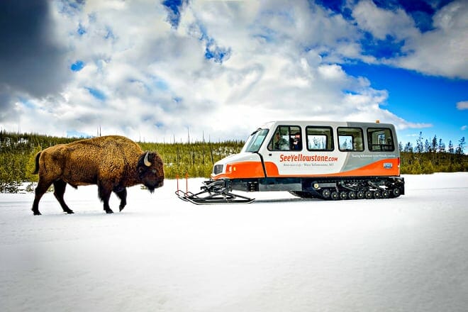 see yellowstone tours
