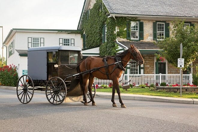 the amish farm and house