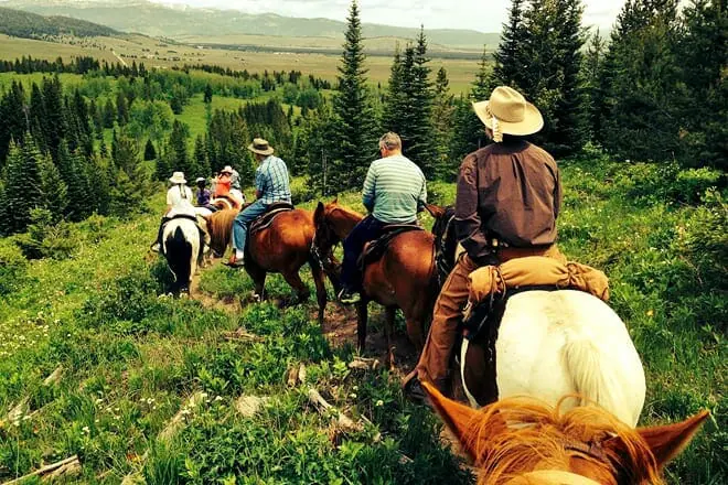 the diamond p ranch
