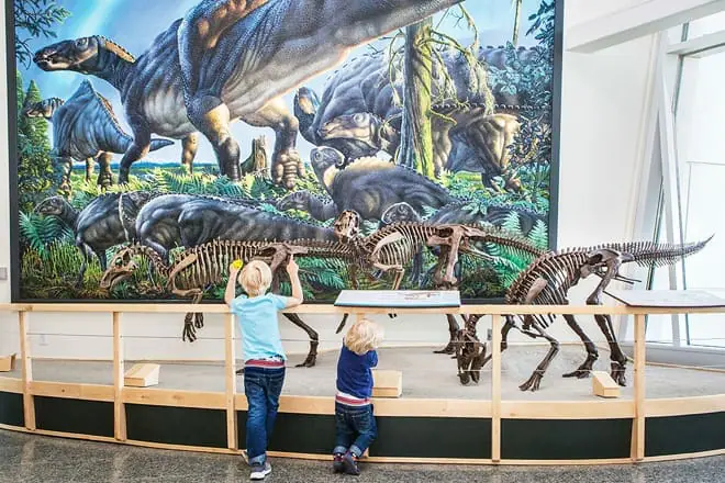 university of alaska museum of the north