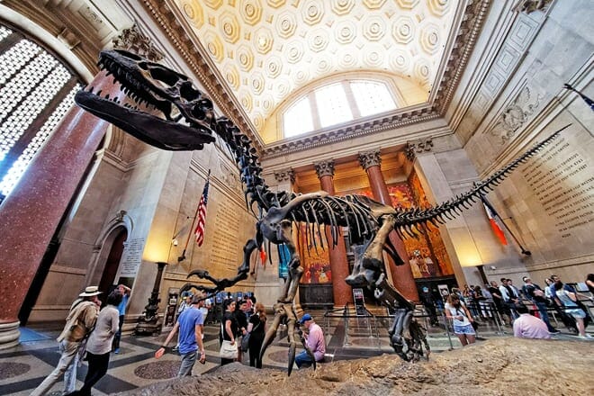 american museum of natural history — new york city