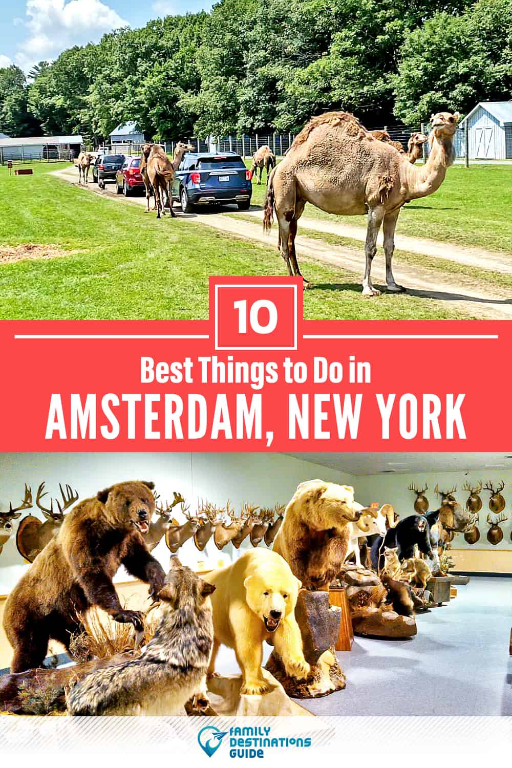 10 Best Things to Do in Amsterdam, NY — Top Activities & Places to Go!
