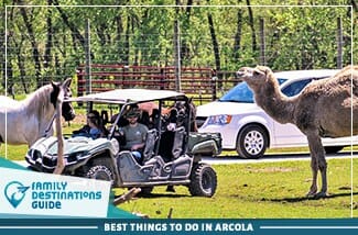 best things to do in arcola
