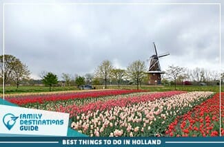 best things to do in holland