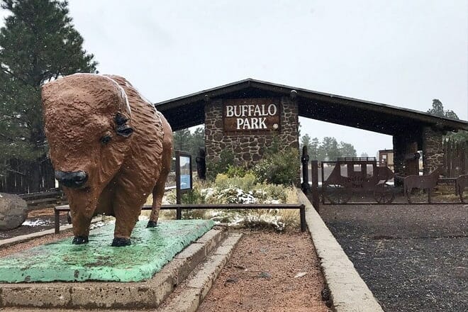 buffalo park