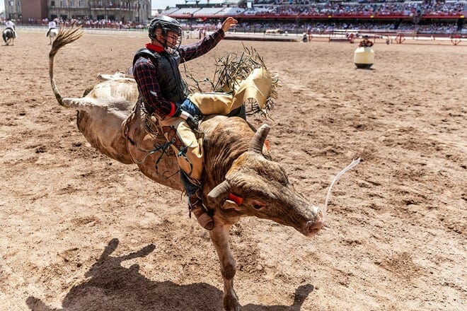 cheyenne frontier days rodeo — cheyenne