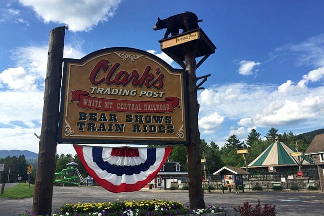 clark’s bears