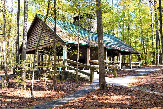 clemmons educational state forest