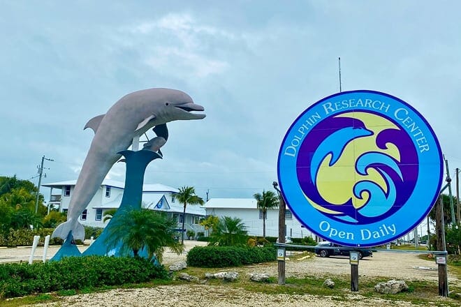 dolphin research center