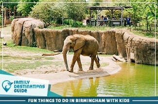 fun things to do in birmingham with kids