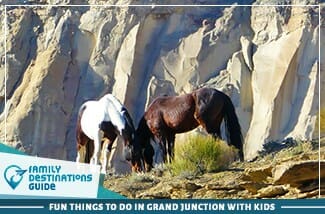 fun things to do in grand junction with kids