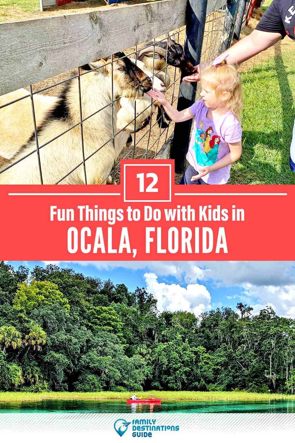 12 Fun Things to Do in Ocala with Kids — Family Friendly Activities!