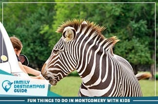 fun things to do in montgomery with kids