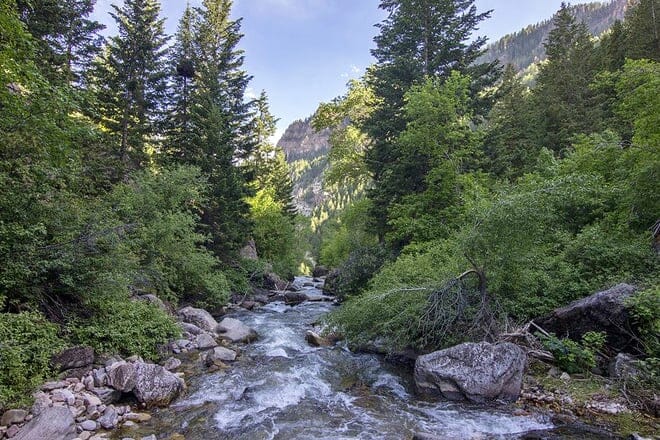 grizzly creek trail