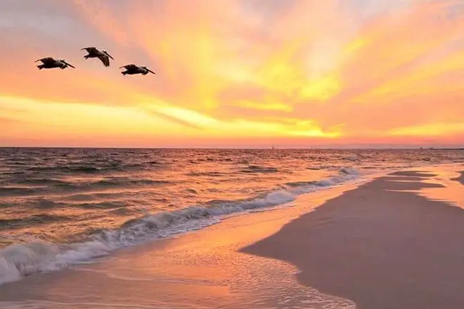 holmes beach